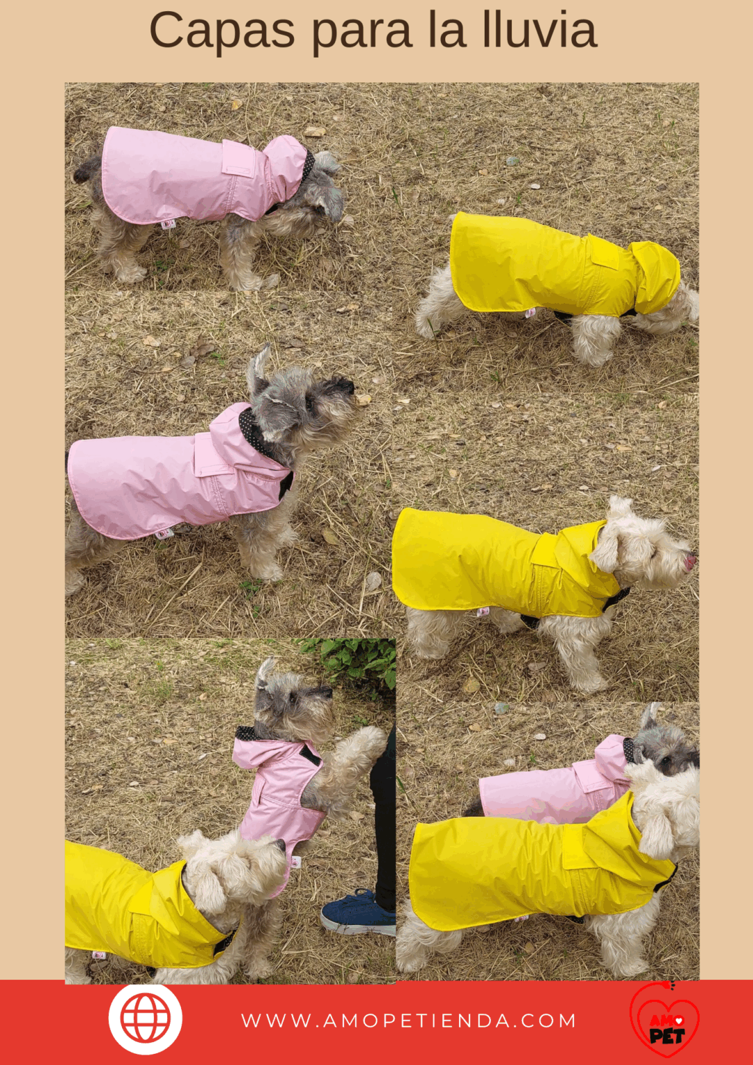 Capas para perro | KakaoMarket - Es Fácil Pedir Kakao
